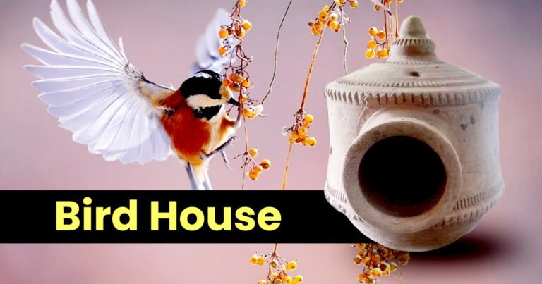 Bird House: Well Defined Place For Birds - Apna Sansthan Jaipur - EBNW ...