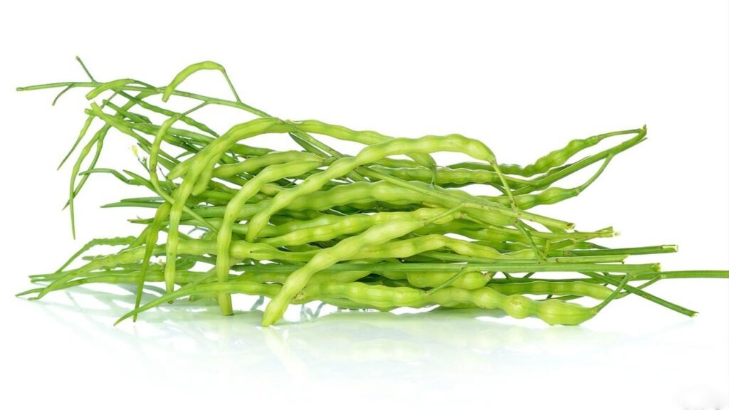 Sangri Popular Been Like Vegetable Of Rajasthan Is Obtained From Which ...