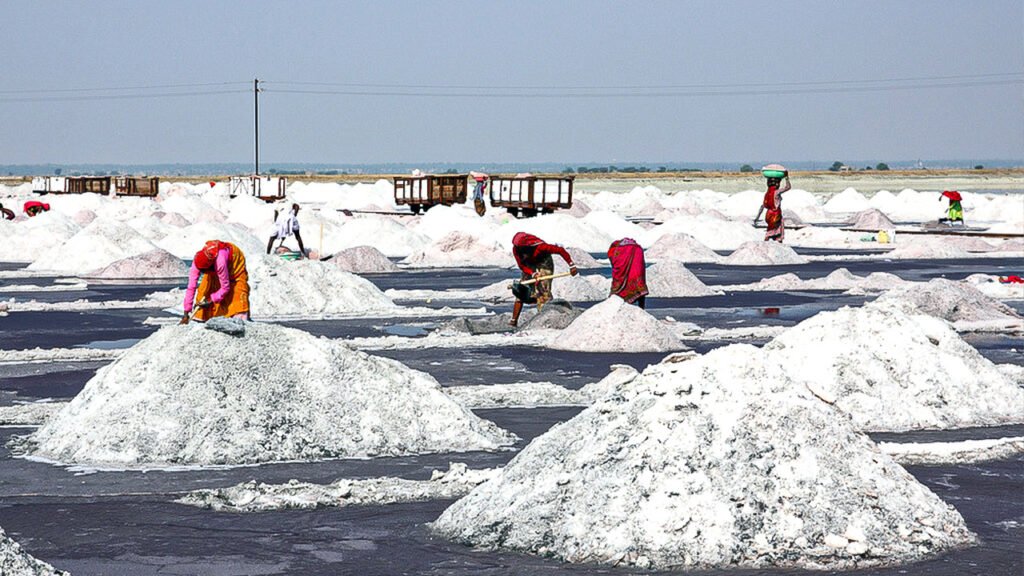 Rajasthan: Sambhar Lake And Its Mahabharata Connect! - EBNW Story