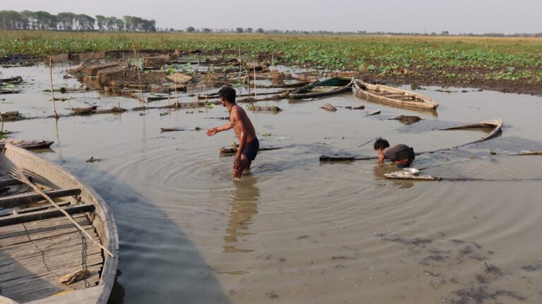 Kanwar Lake In Bihar Is Asia’s Largest Freshwater Oxbow Lake. Know Its ...