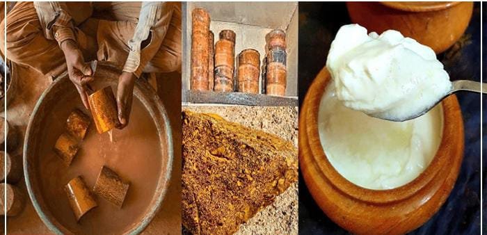 Haburia Bhata: The Magical Stone Of Habur Village That Turns Milk Into ...