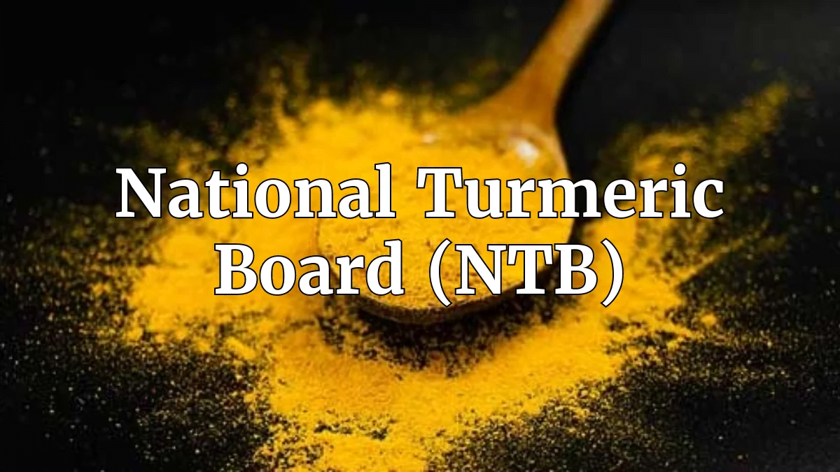 Government Of India Establishes National Turmeric Board To Boost ...