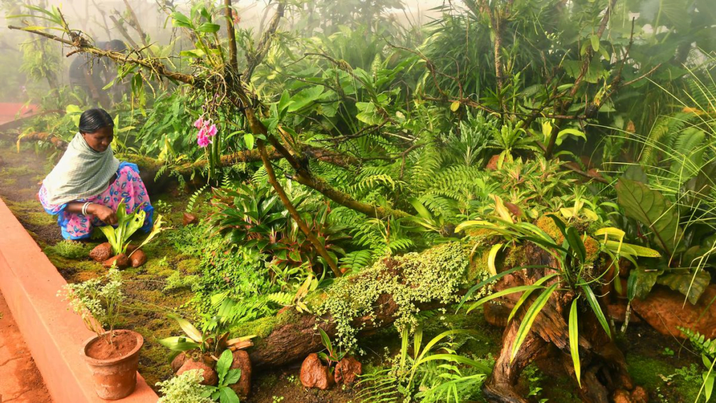 Miniature Eastern Ghats: A Natural Wonderland Will Be Started For ...
