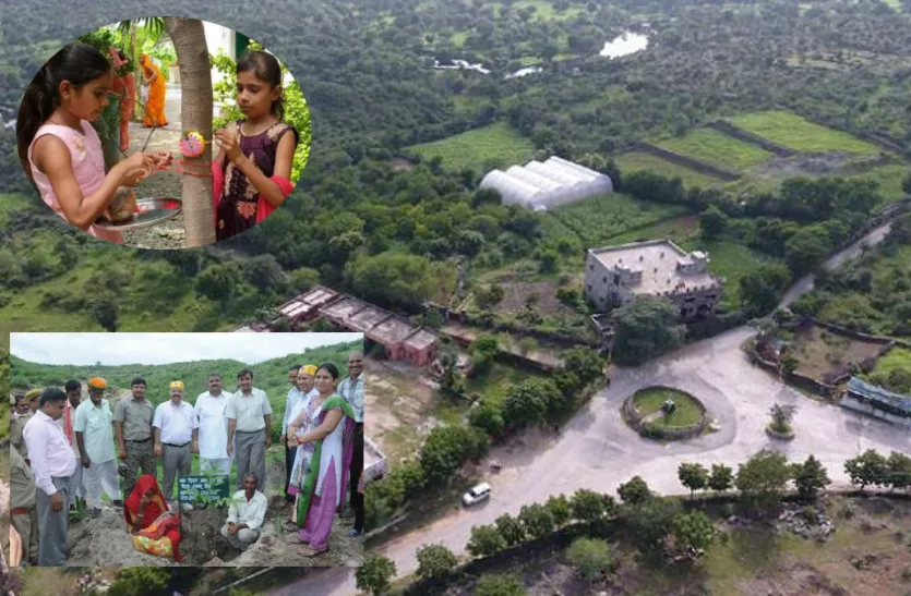 PIPLANTRI- Story Of A Village In Rajsamand District Of Rajasthan - EBNW ...