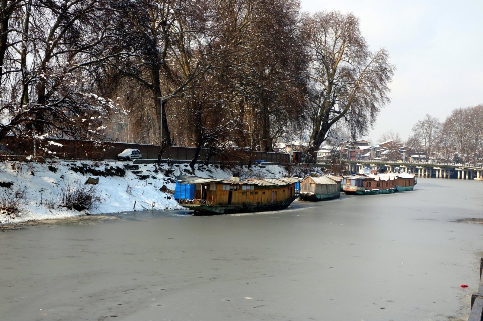 Frozen Dal Lake Turns Srinagar Into A Winter Wonderland, Boosting ...