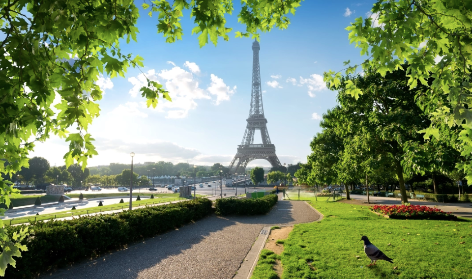 Paris To Replace 60,000 Parking Spaces To Urban Forests By 2030 - EBNW ...
