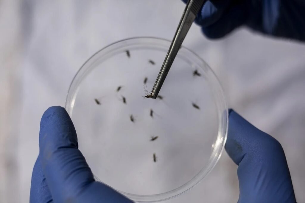 Georgia Certified Malaria-Free: A Landmark Achievement In Global Health ...
