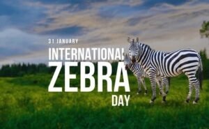 International Zebra Day 2025: Date, History, And Significance - EBNW Story