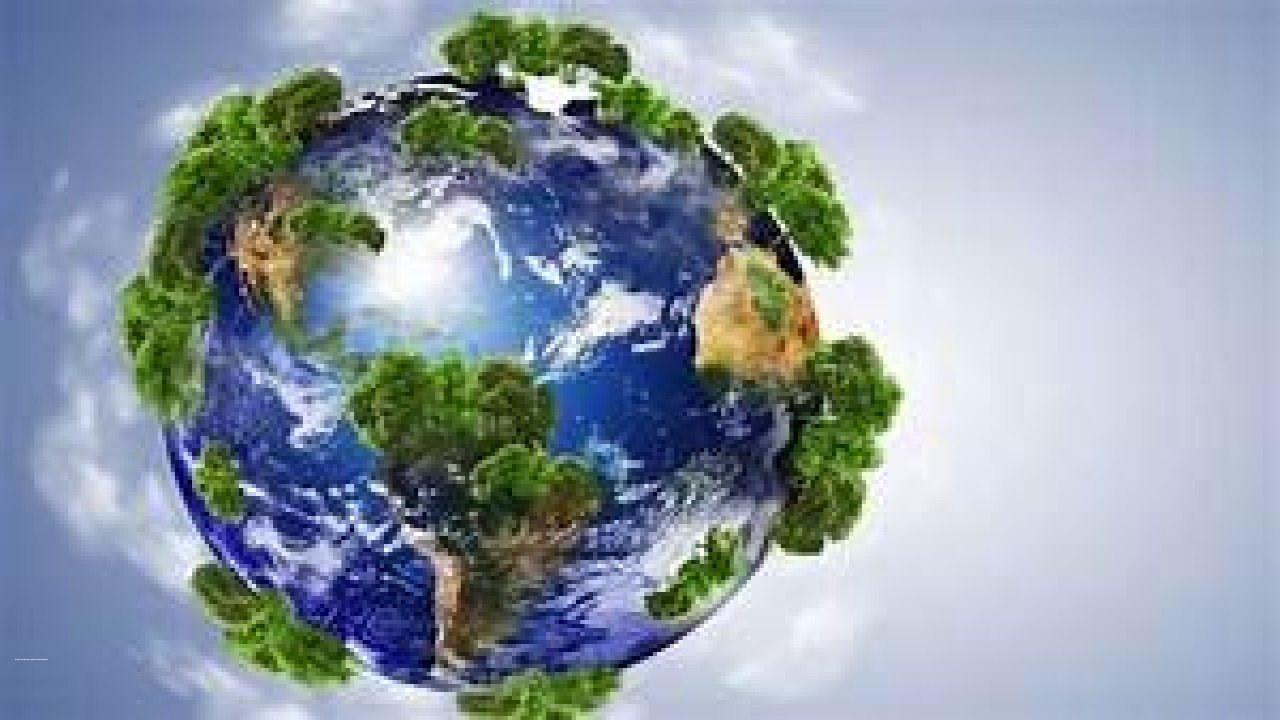 The State Of India’s Environment 2025: A Comprehensive Overview - EBNW ...