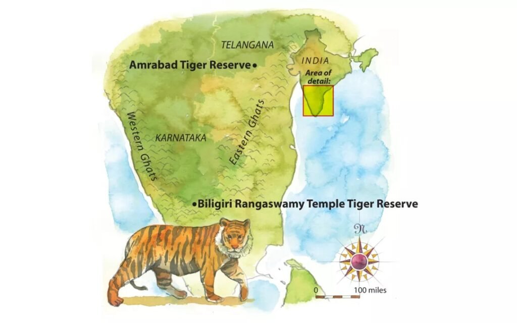 Soligas And Tiger Conservation In BRT Tiger Reserve - EBNW Story