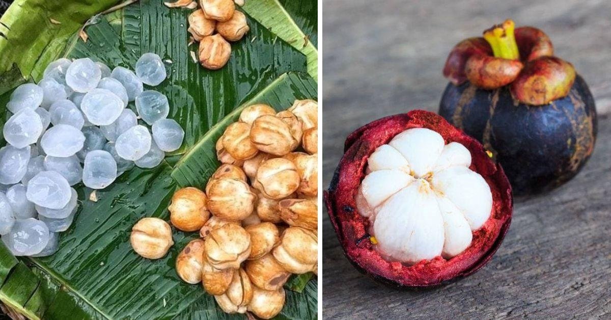 Beyond Mangoes: 6 Incredible Indian Summer Fruits That Deserve More ...