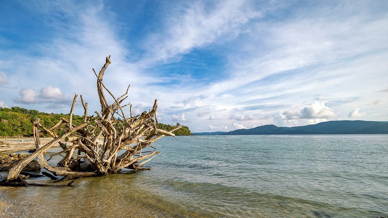 Places To Visit: Chidiya Tapu, A Haven For Nature Enthusiasts And Bird ...