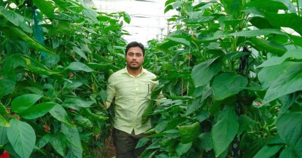 How A Former Corporate Employee Helped 30,000 Farmers Earn 4X With ...