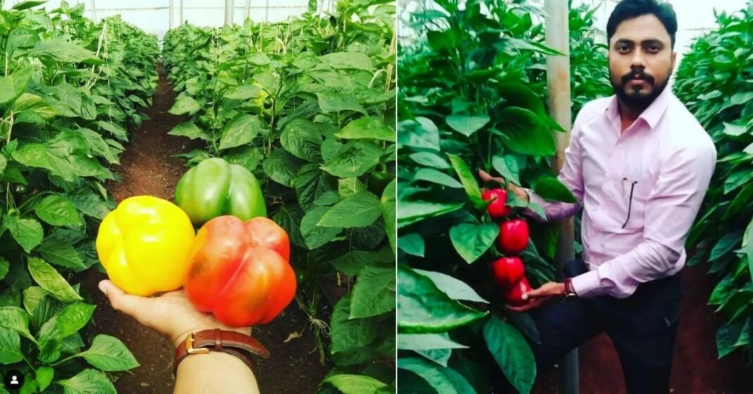 How A Former Corporate Employee Helped 30,000 Farmers Earn 4X With ...