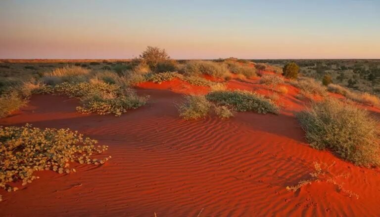 Theri Kaadu: Tamil Nadu’s Hidden Red Sand Desert - EBNW Story