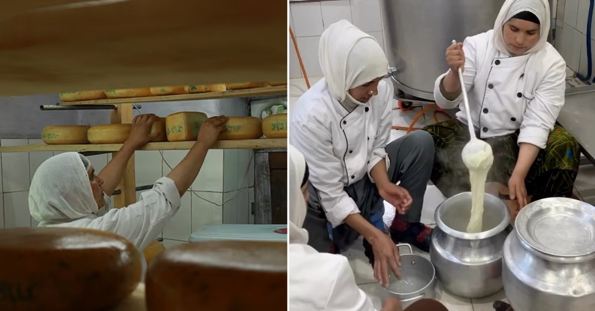 Dreams Made Of Cheese: Kashmiri Women Rewrite Their Lives, One Cheese ...