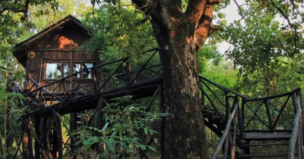Stay Among The Treetops: 10 Breathtaking Treehouse Retreats In India ...