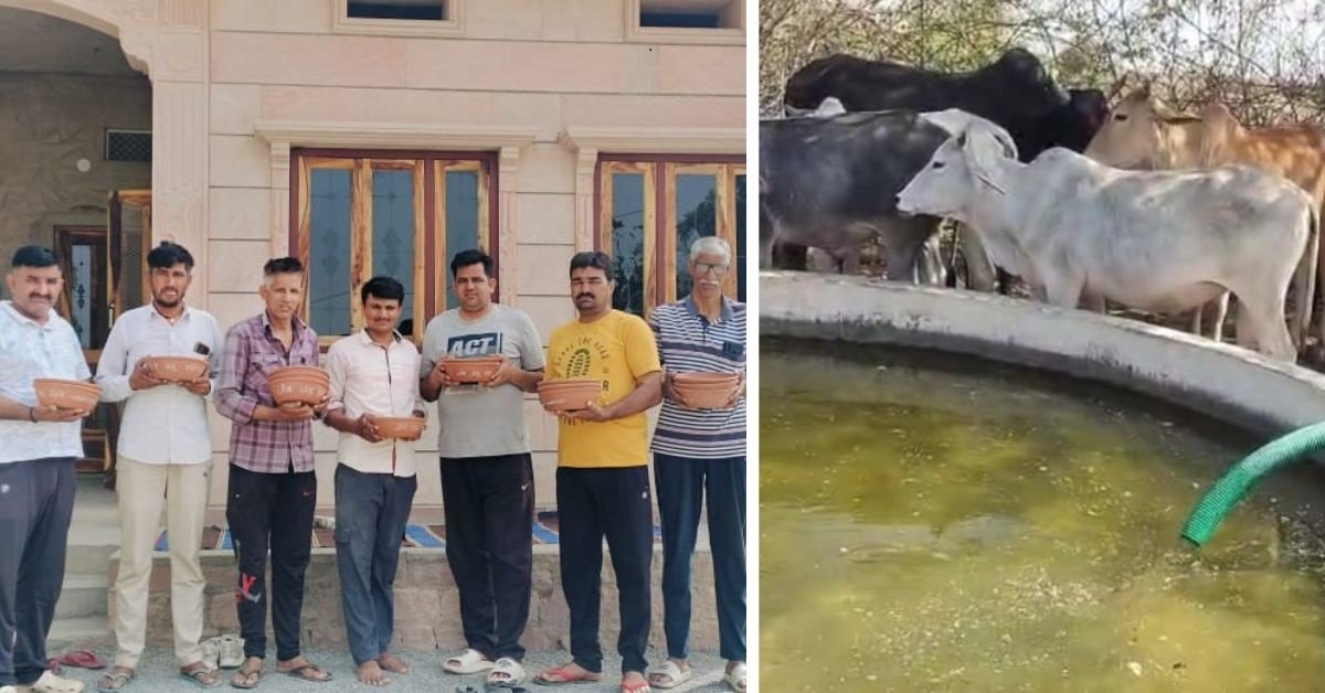 How 690 Villagers United To Save Rajasthan’s Animals From Extreme ...