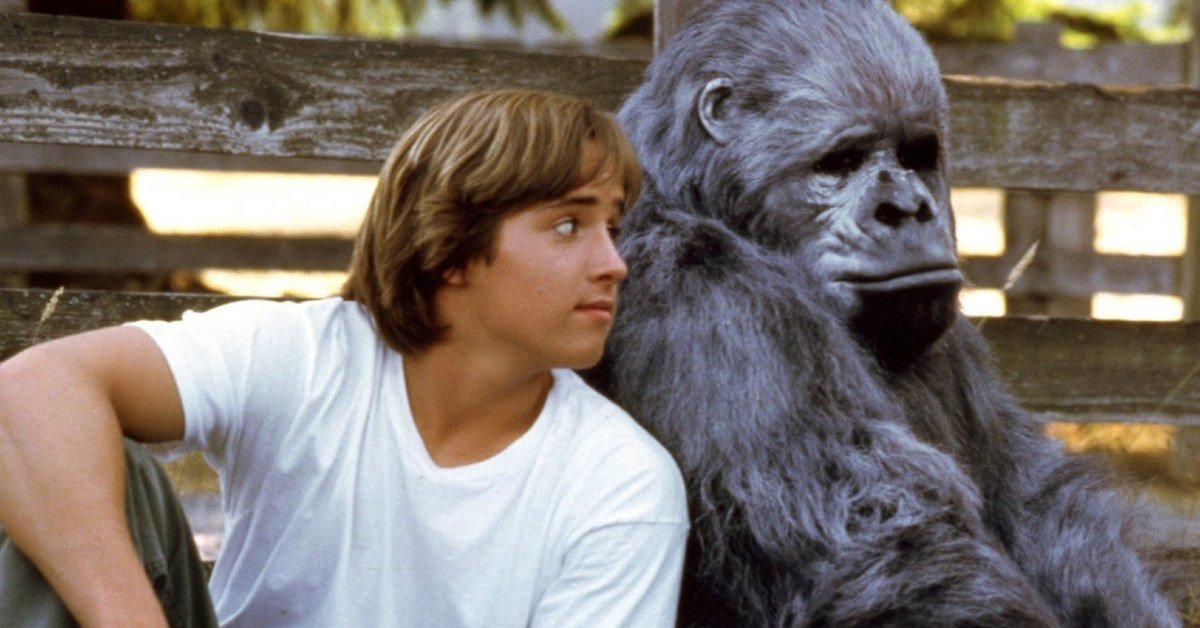 6 Wildlife Documentaries Your Kids Will Love (And Learn From) - EBNW Story