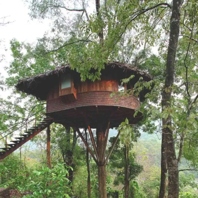 Stay Among The Treetops: 10 Breathtaking Treehouse Retreats In India ...