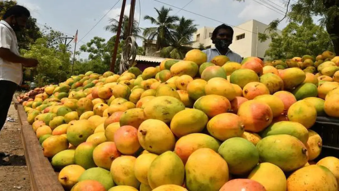 How This Online Platform Is Helping Karnataka Farmers Reach Mango ...