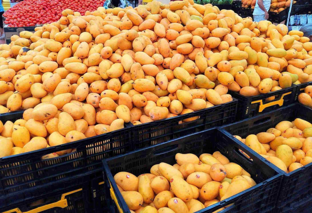 How This Online Platform Is Helping Karnataka Farmers Reach Mango ...