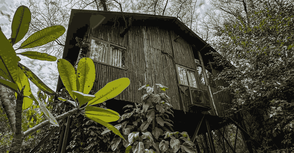 Stay Among The Treetops: 10 Breathtaking Treehouse Retreats In India ...