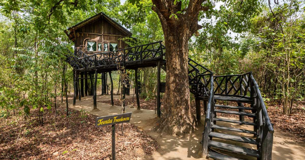 Stay Among The Treetops: 10 Breathtaking Treehouse Retreats In India ...