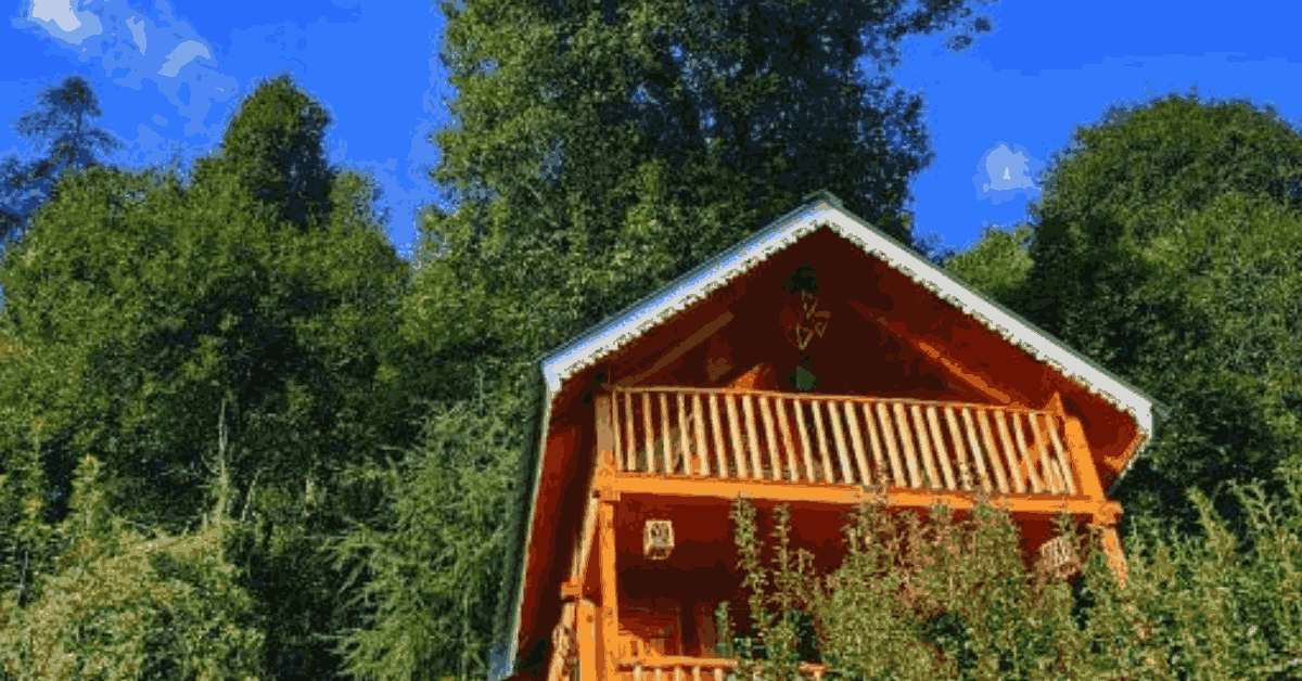 Stay Among The Treetops: 10 Breathtaking Treehouse Retreats In India ...