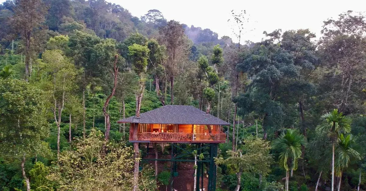 Stay Among The Treetops: 10 Breathtaking Treehouse Retreats In India ...
