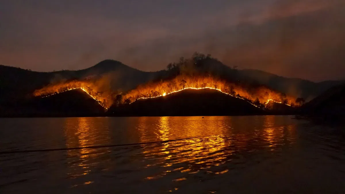Palaeofires: Ancient Wildfires In India Reveal Crucial Insights Into ...