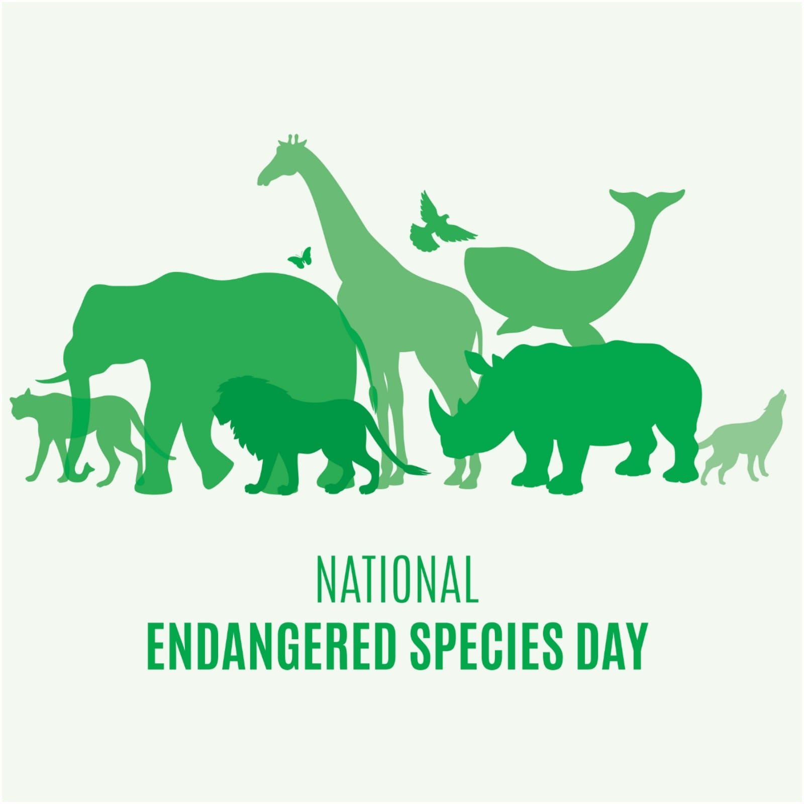 Endangered Species Day: Protecting Earth’s Precious Wildlife - EBNW Story